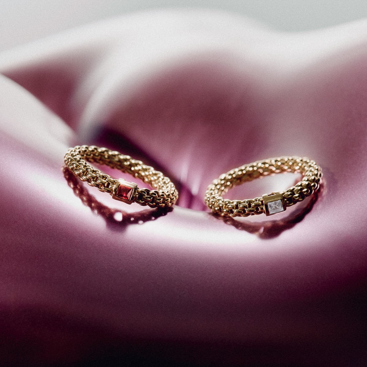 Accessibility - FOPE